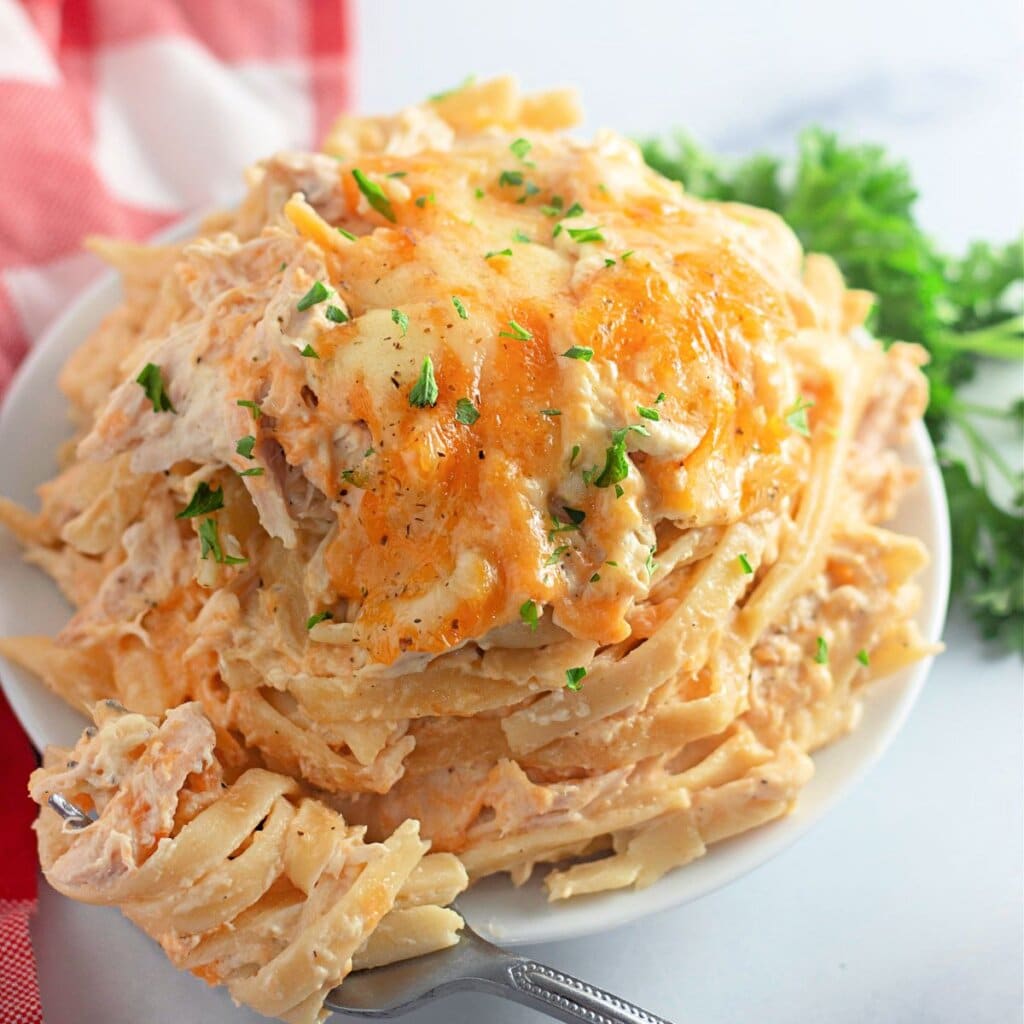 Creamy Chicken Tetrazzini - Maria's Mixing Bowl